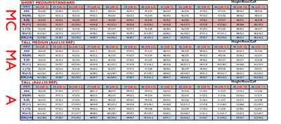 Deniro Tiziano Dressage boot custom - Gee Gee Equine